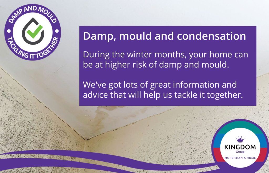Damp, Mould and Condensation - Repairs